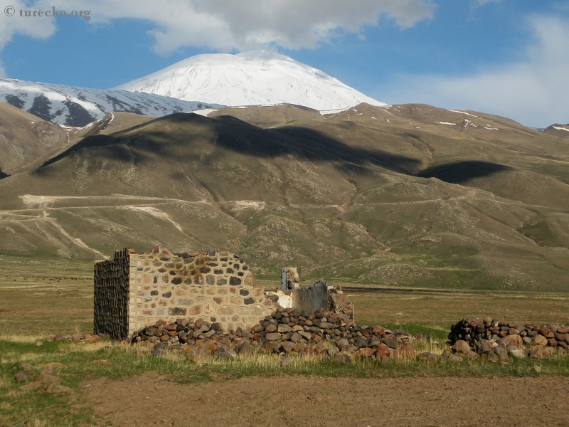Ararat